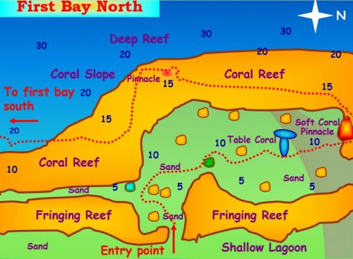 Best Best Dive Sites in Aqaba, Red Sea | Site Maps | Scuba Diving Sites ...