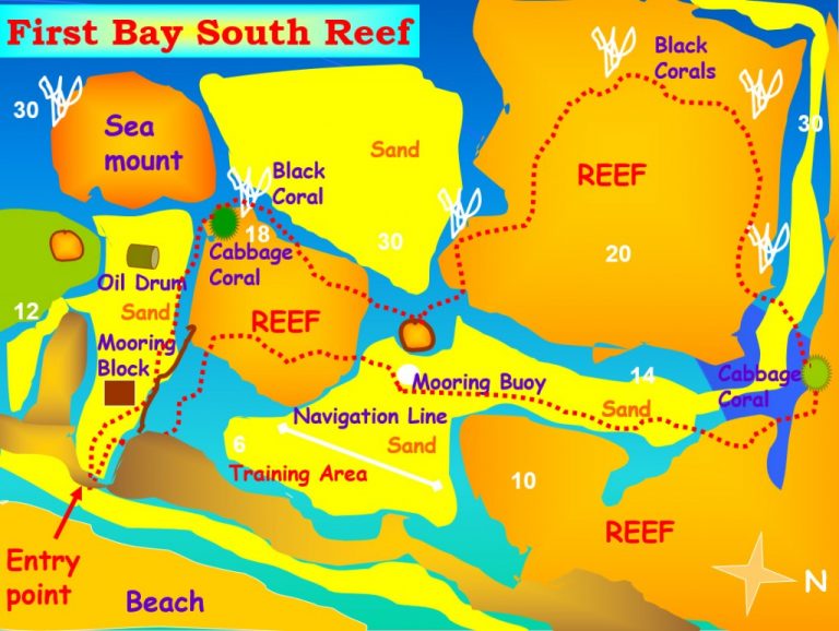 Best Best Dive Sites in Aqaba, Red Sea | Site Maps | Scuba Diving Sites ...