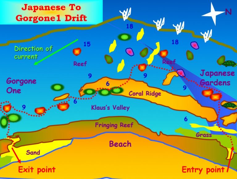 Best Best Dive Sites in Aqaba, Red Sea | Site Maps | Scuba Diving Sites ...