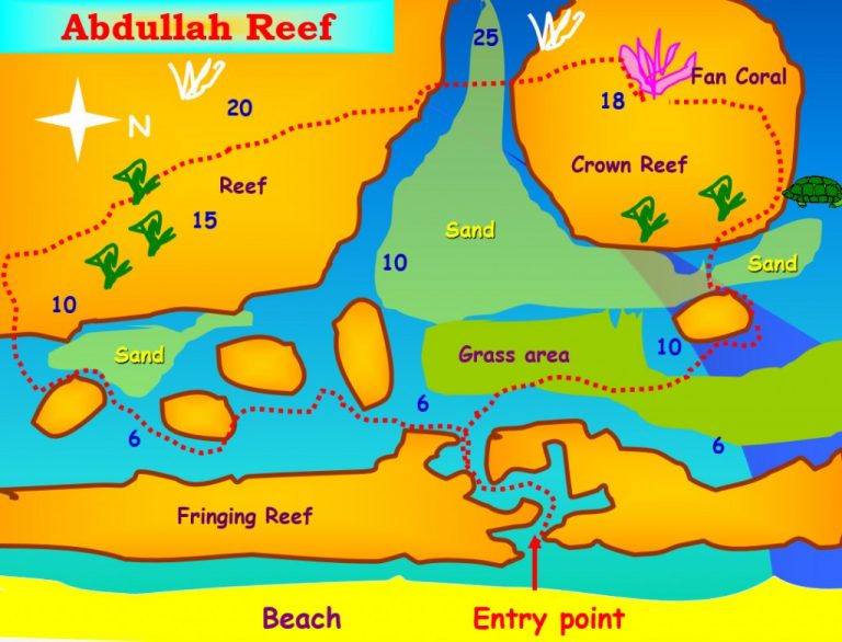 Best Best Dive Sites in Aqaba, Red Sea | Site Maps | Scuba Diving Sites ...