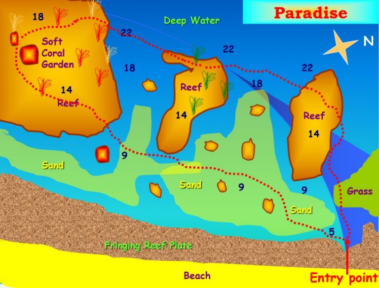 Best Best Dive Sites in Aqaba, Red Sea | Site Maps | Scuba Diving Sites ...